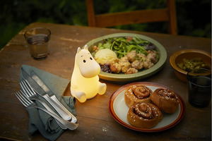 Moomin Room Light Book