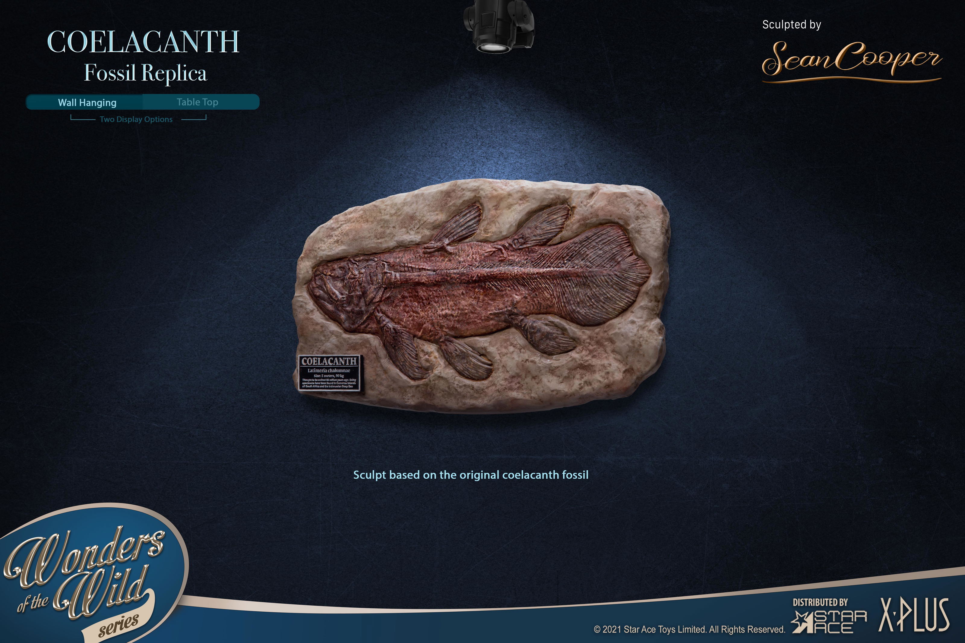Wonders of the Wild Series: Coelacanth Fossil Replica