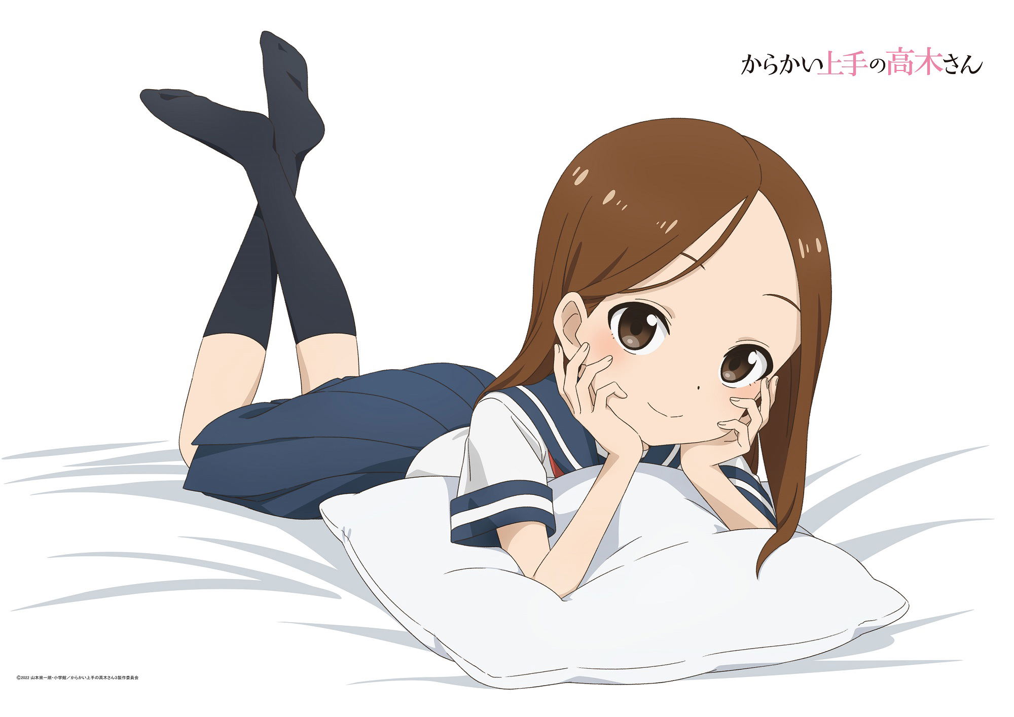 Teasing Master Takagi-san 3 Original Illustration Life Size Wall Scroll ...