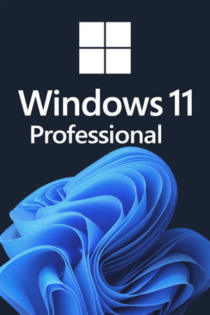 Windows 11 Pro OEM DOUBLE COINS digital for Windows
