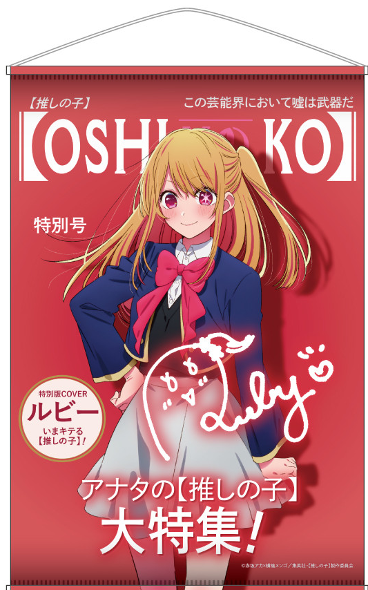 Oshi no Ko Theme B2 Tapestry Vol. 1 Ruby