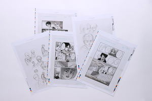 Attack On Titan Art Book: Fly