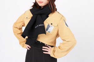 Attack On Titan Art Book: Fly