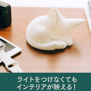 Dayan The Cat Room Light Book