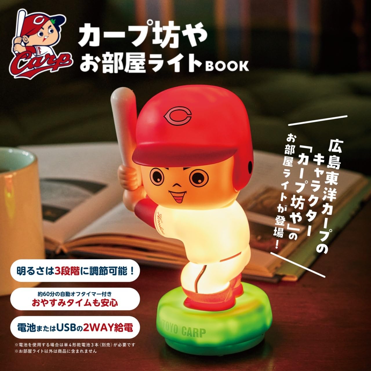 Carp Boy Room Light Book