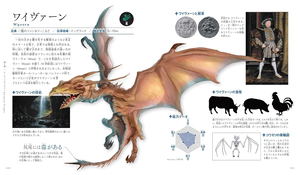 Visual Encyclopedia Dragon