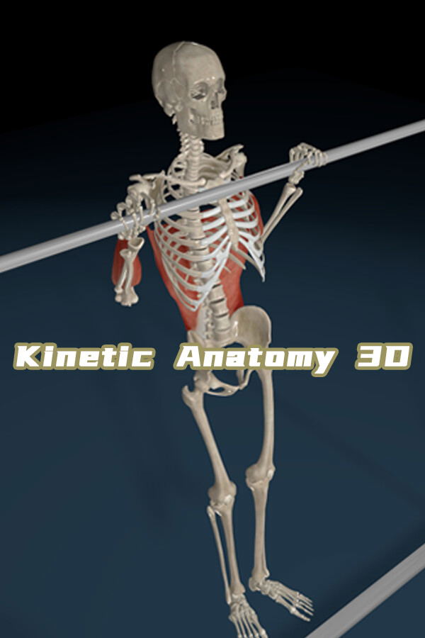 Kinetic Anatomy 3D STEAM digital for Windows