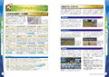 Powerful Pro Baseball 2024-2025 Official Perfect Guide