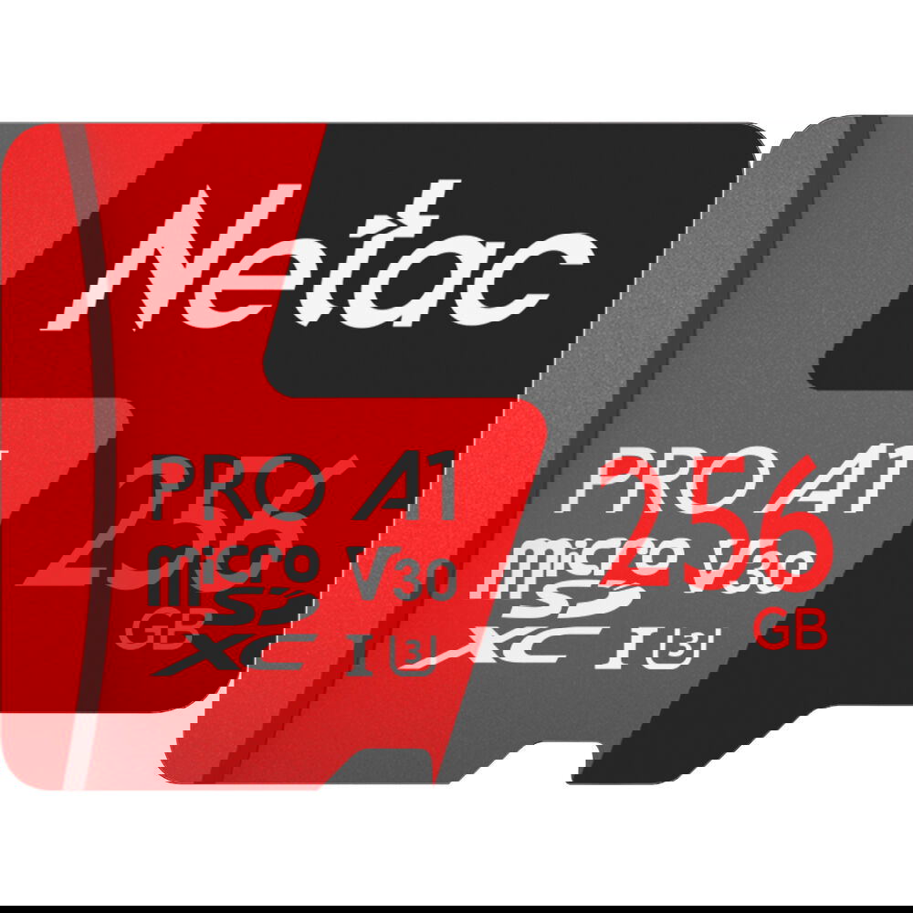 Netac Technology P500 Extreme Pro microSDXC with SD Adapter Kit (256GB ...
