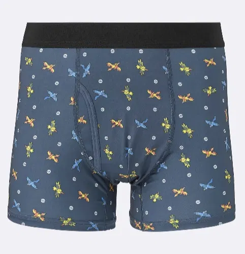 GU Pokemon - Legendary Birds Pixel Art Style-Dry Boxer Briefs (Navy ...