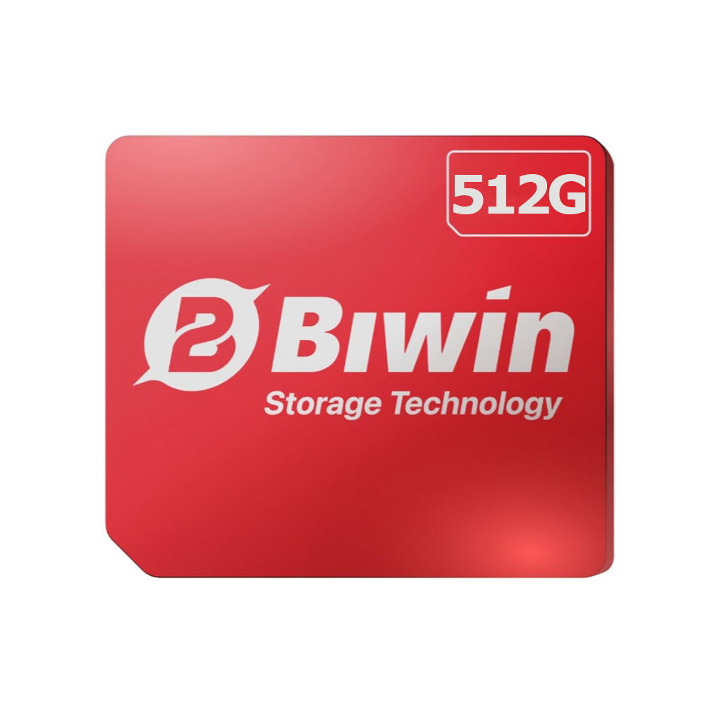 BIWIN Mini SSD (512GB)