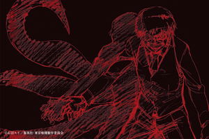 Tokyo Ghoul Design Works & Original Artwork Collection Complete Set