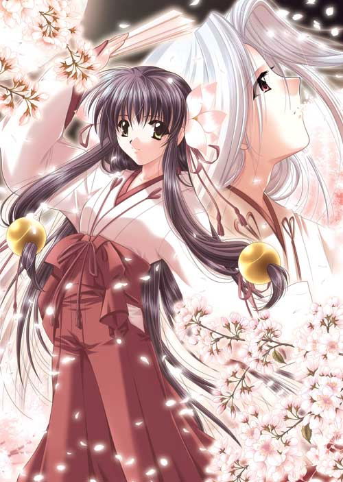 Izumo 2 [Limited Edition] for PlayStation 2