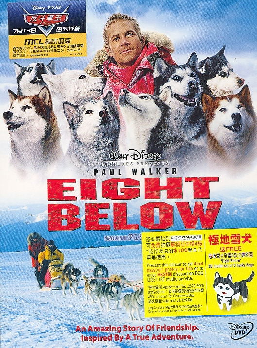 Eight Below Dogs Eight Below: A Heartfelt Dog Movie Experience