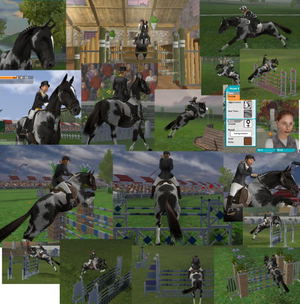 Lucinda Green's Equestrian Challenge for PlayStation 2