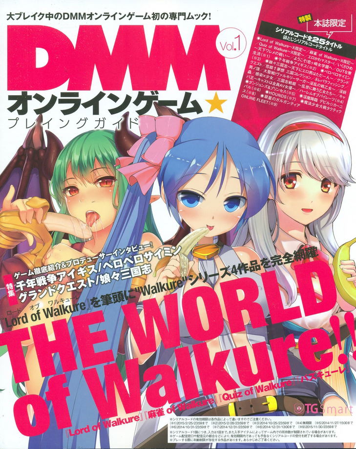 DMM Online Game Playing Guide Vol.1