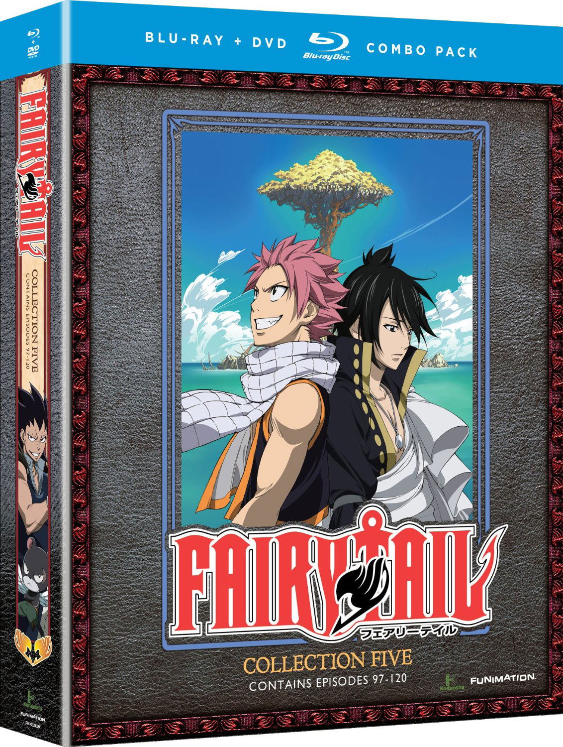 Fairy Tail: Collection Five [Blu-ray+DVD]