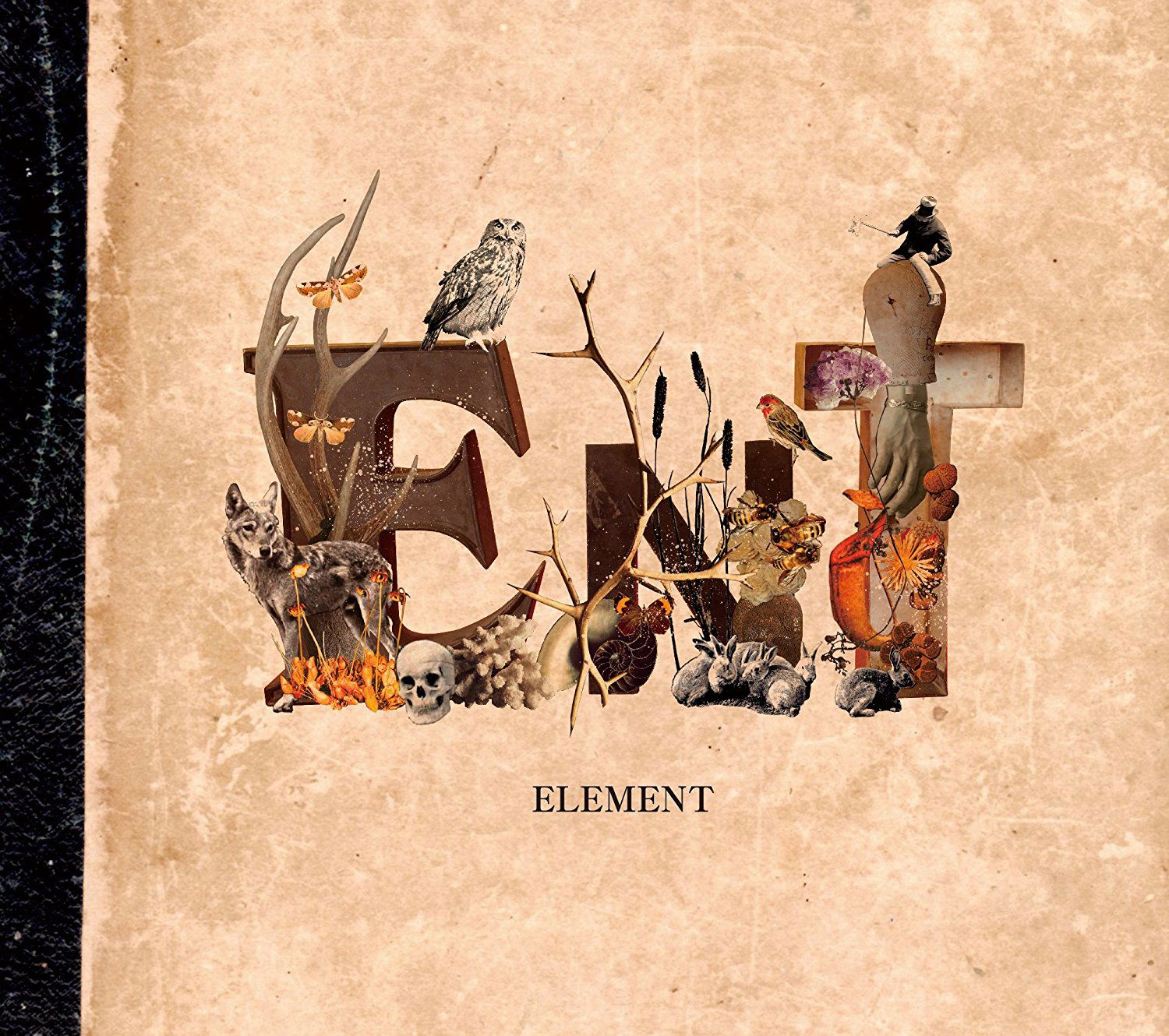 Element [Limited Edition] (Ent)