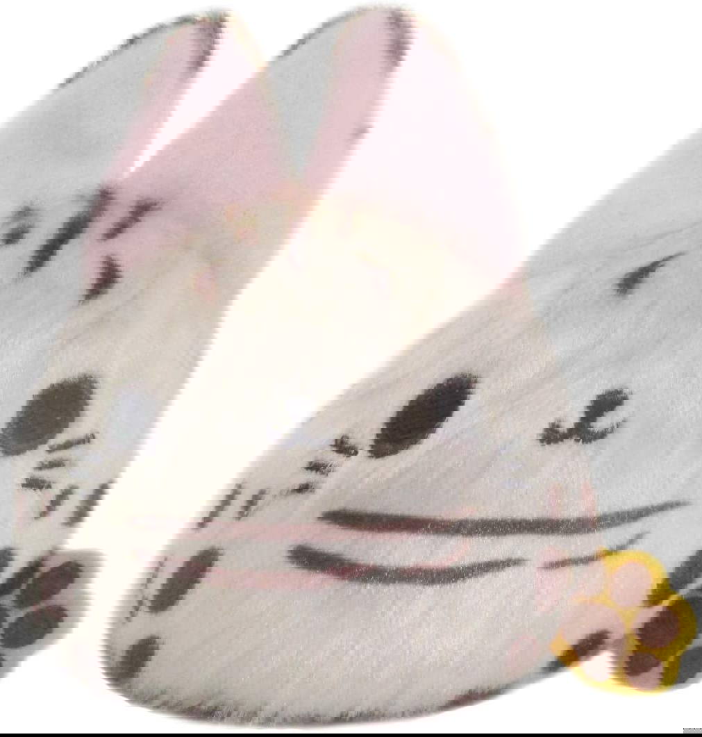 Neko Dango Plush: Serval Cat