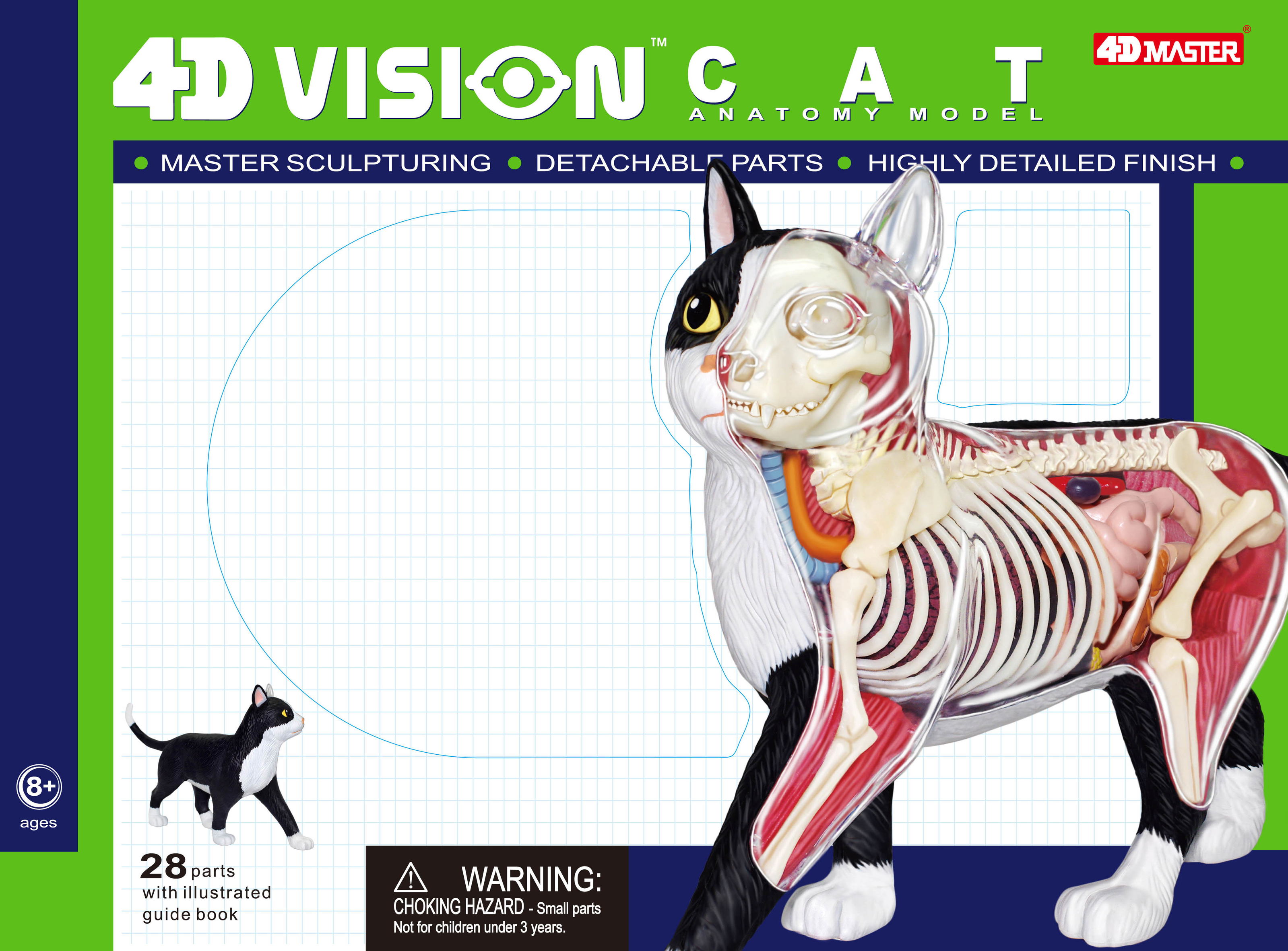 4D VISION Animal Dissection No. 29: Cat Anatomy Model Black / White
